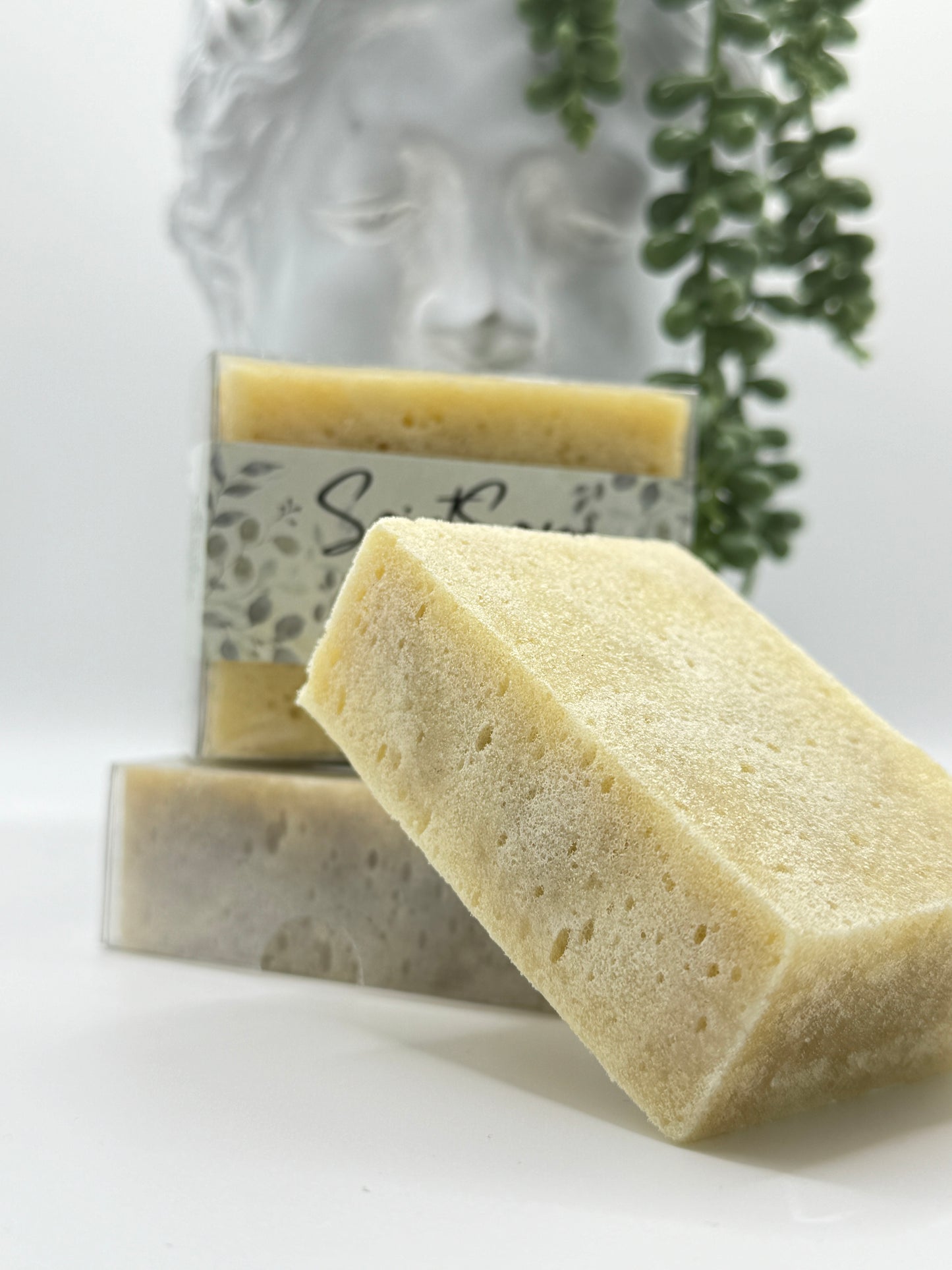 MULTI-FUNCTIONAL SOAP SPONGE - heilende Seife – SAINT-SAVON